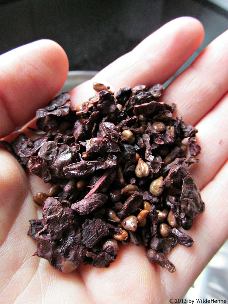 Treberwurst mit Papet vaudois – Hühnerküche – Rezepte, Geschichten und mehr